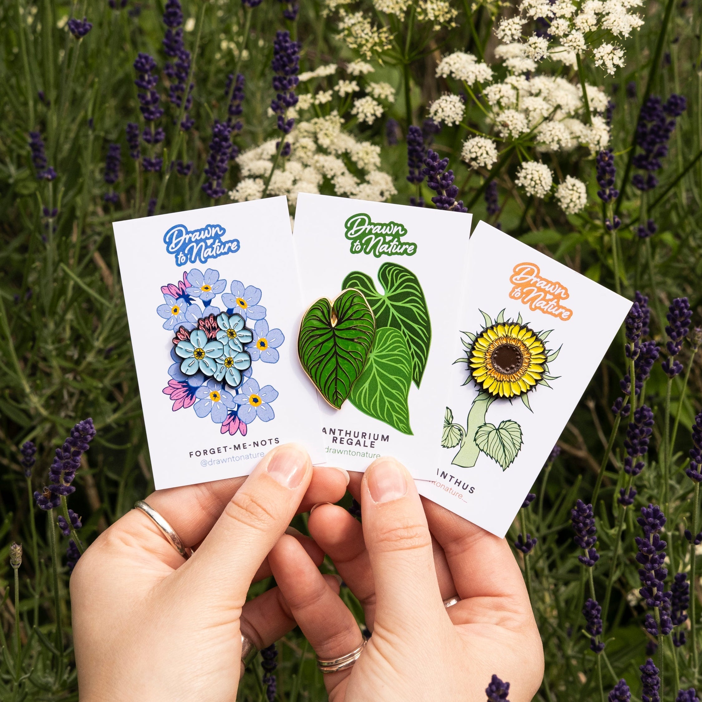 Enamel Pins – Drawn to Nature