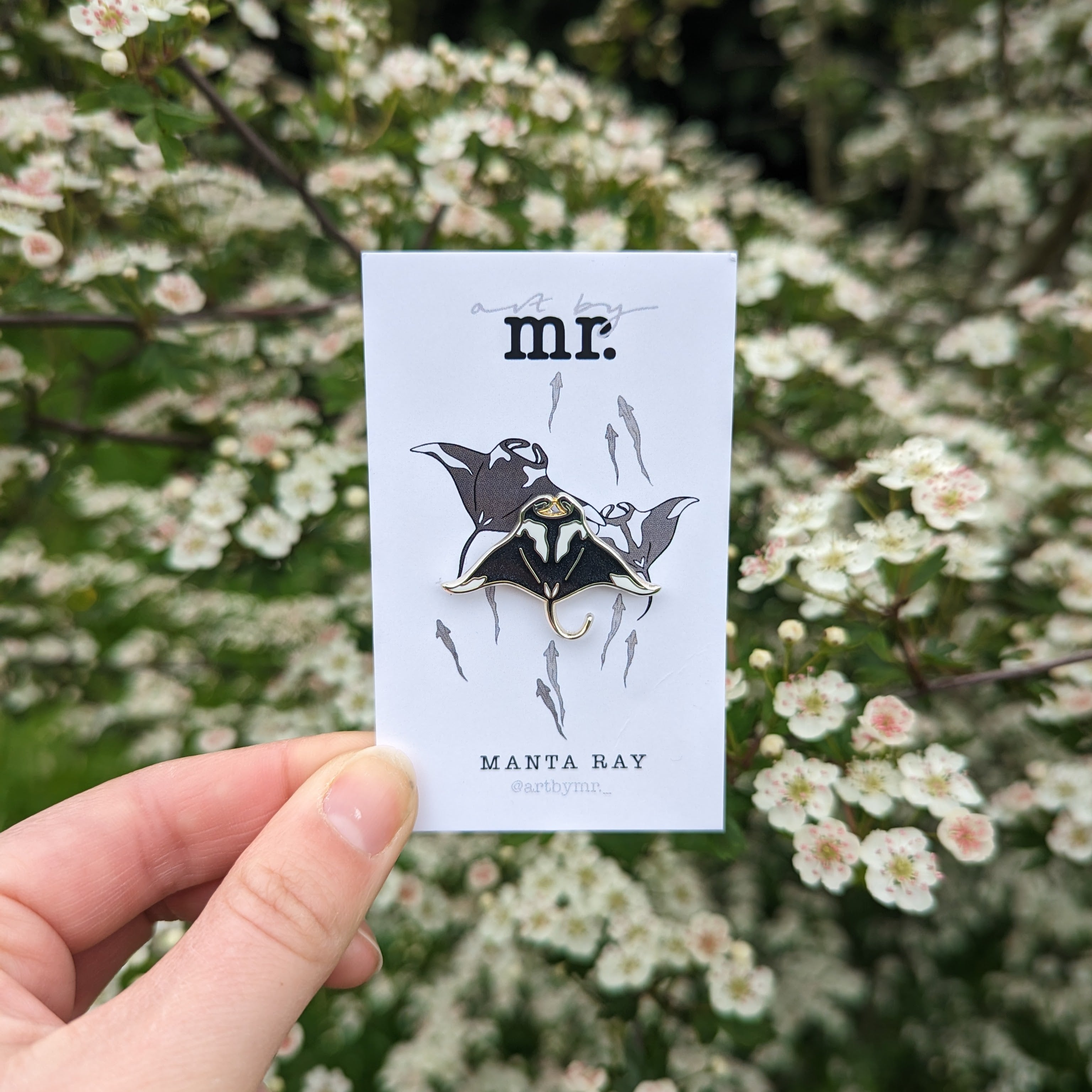 Manta Ray Pin – Drawn to Nature